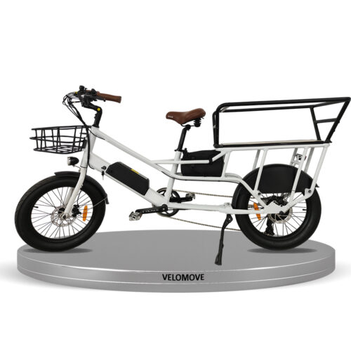 Electric Bikes - Changzhou VeloMove Technology Co., Ltd.